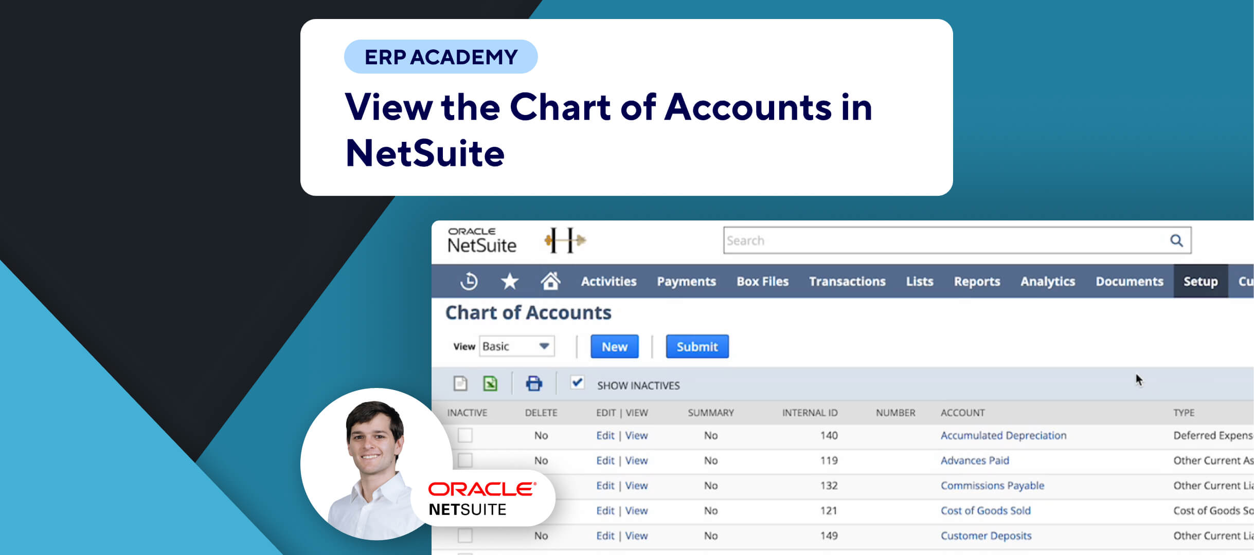 How to View the Chart of Accounts in NetSuite? | Kolleno