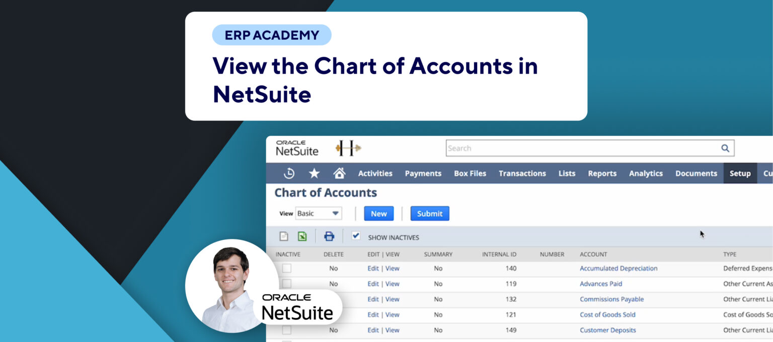 How to change NetSuite color appearance? | Kolleno